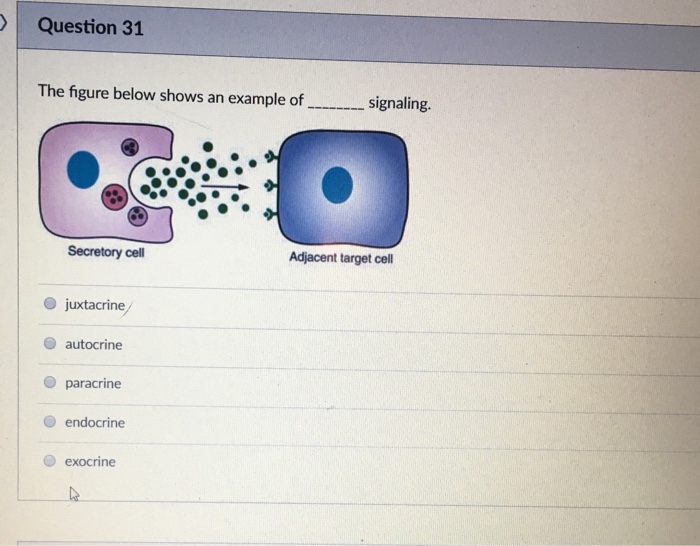 Solved Question 31 The figure below shows an example of | Chegg.com
