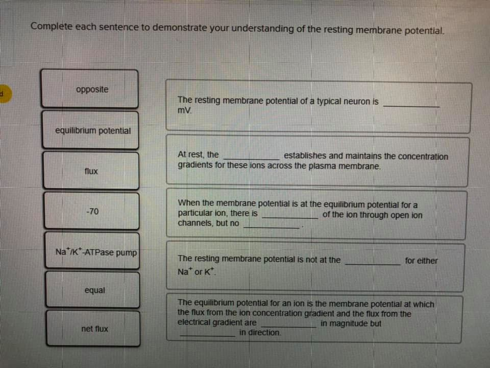 Solved Complete each sentence to demonstrate your | Chegg.com