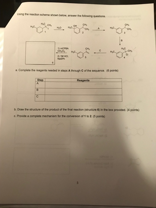 Solved Using the reaction scheme shown below, answer the | Chegg.com