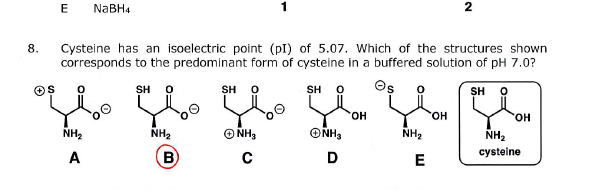 Solved Cysteine has an isoelectric point (pI) of 5.07. Which | Chegg.com