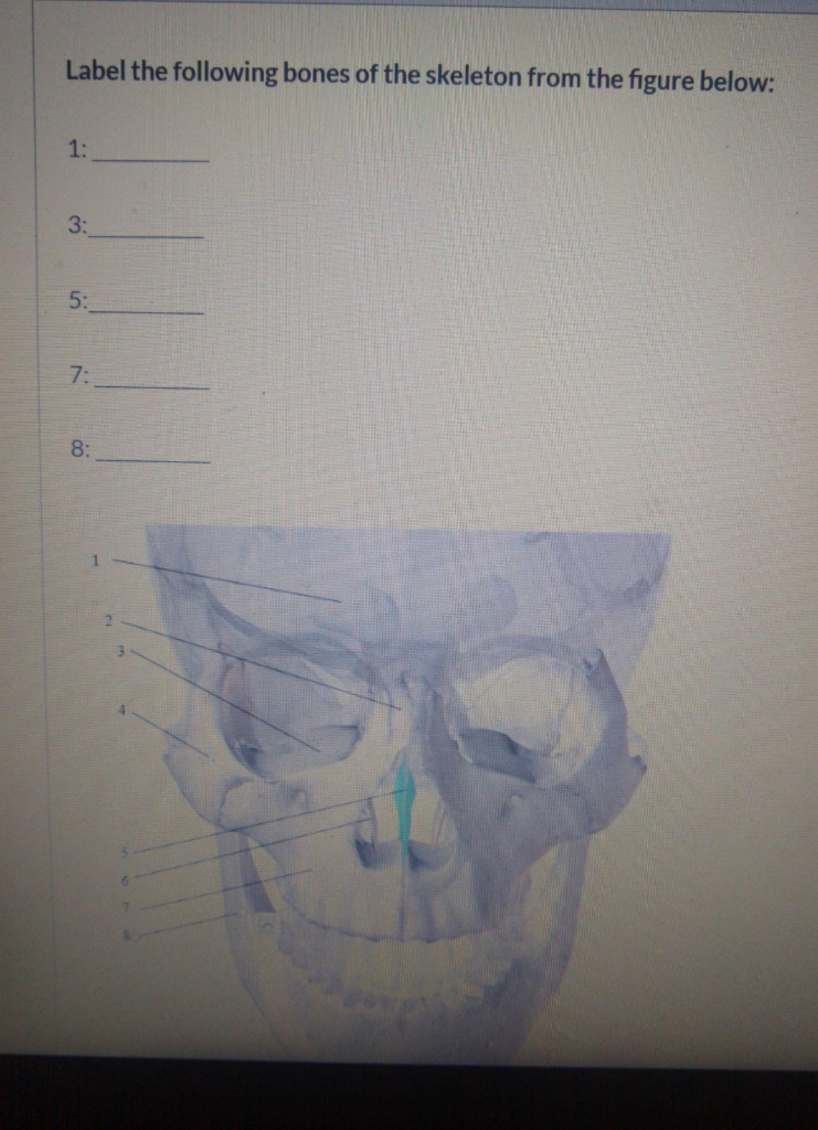 Solved Label the following bones of the skeleton from the | Chegg.com