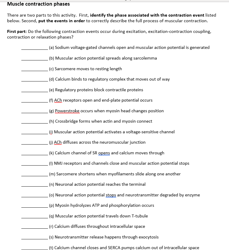 Solved Muscle contraction phases There are two parts to this | Chegg.com