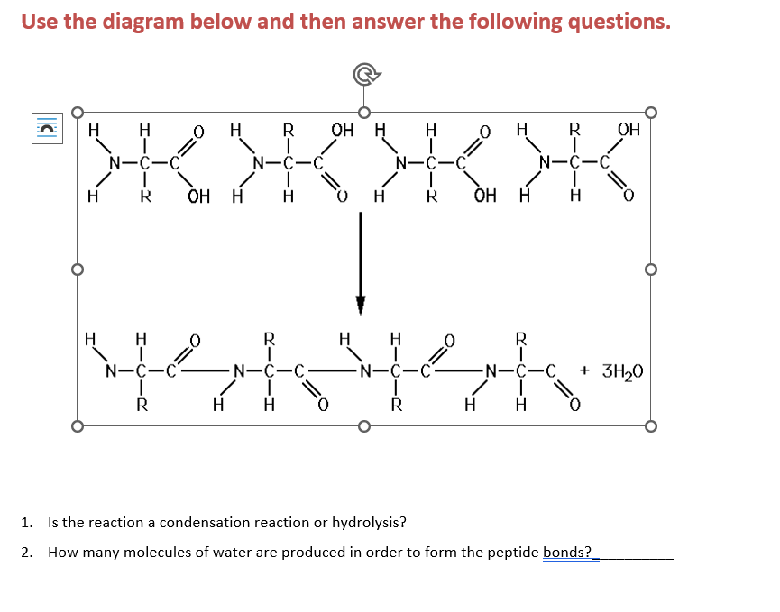 Solved Use the diagram below and then answer the following | Chegg.com