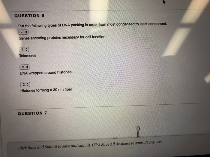 Solved QUESTION 6 Put the following types of DNA packing in | Chegg.com