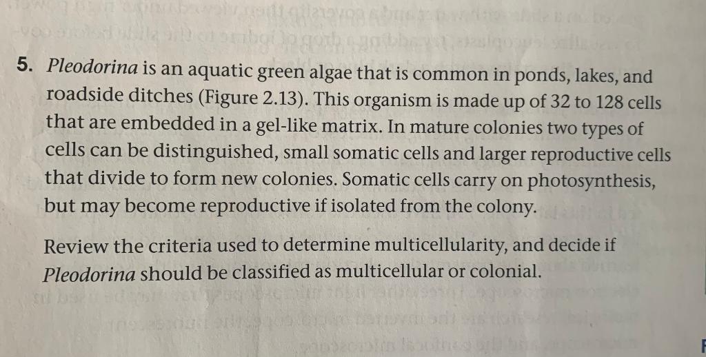 Solved 5. Pleodorina is an aquatic green algae that is | Chegg.com