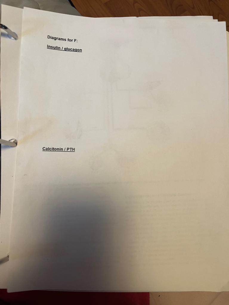 Solved BIOLOGY 2022 ENDOCRINE SYSTEM LAB EXERCISE 27 A. Know | Chegg.com
