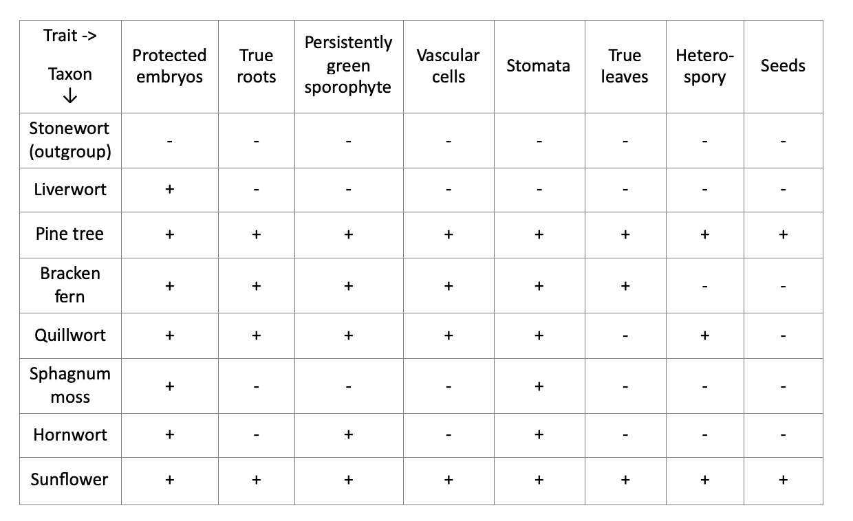 Solved How do I create a phylogenetic tree based on this | Chegg.com