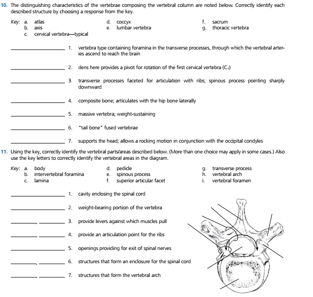 Solved 10. The distinguishing characteristics of the | Chegg.com