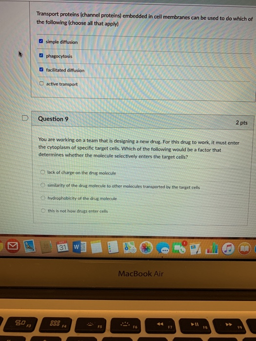 Solved Transport proteins (channel proteins) embedded in | Chegg.com