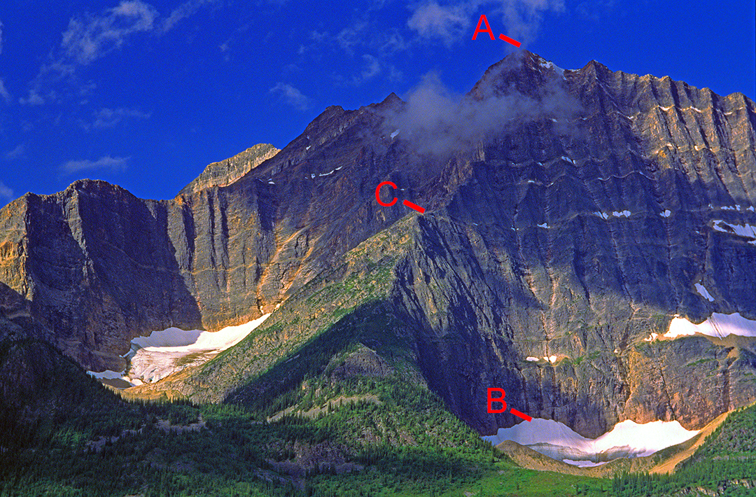Solved The spot labelled "A" would be what type of | Chegg.com
