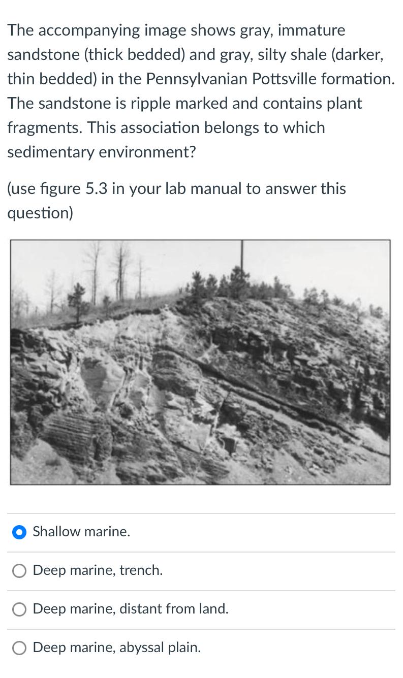 The accompanying image shows beds in the lower | Chegg.com