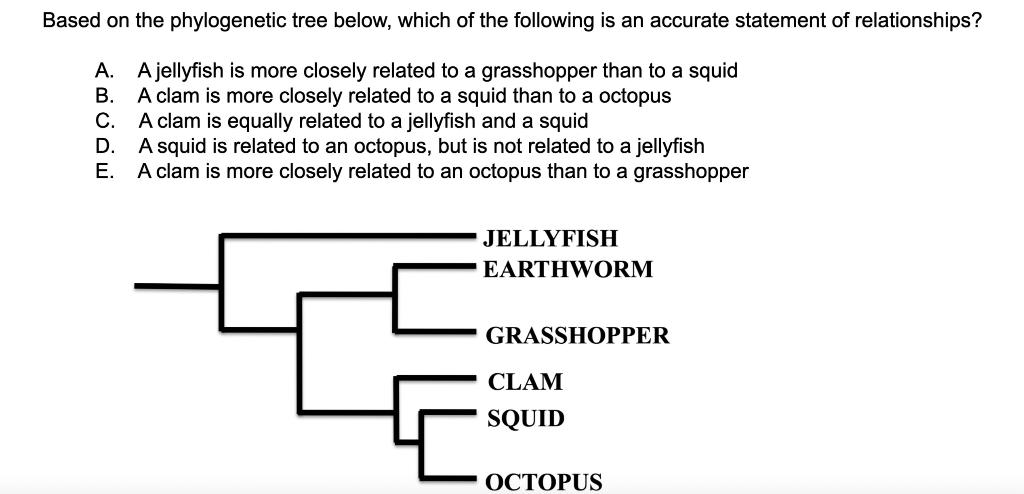 Solved Based on the phylogenetic tree below, which of the | Chegg.com