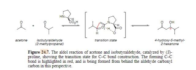 Solved 5. In the transition state for proline-catalyzed | Chegg.com