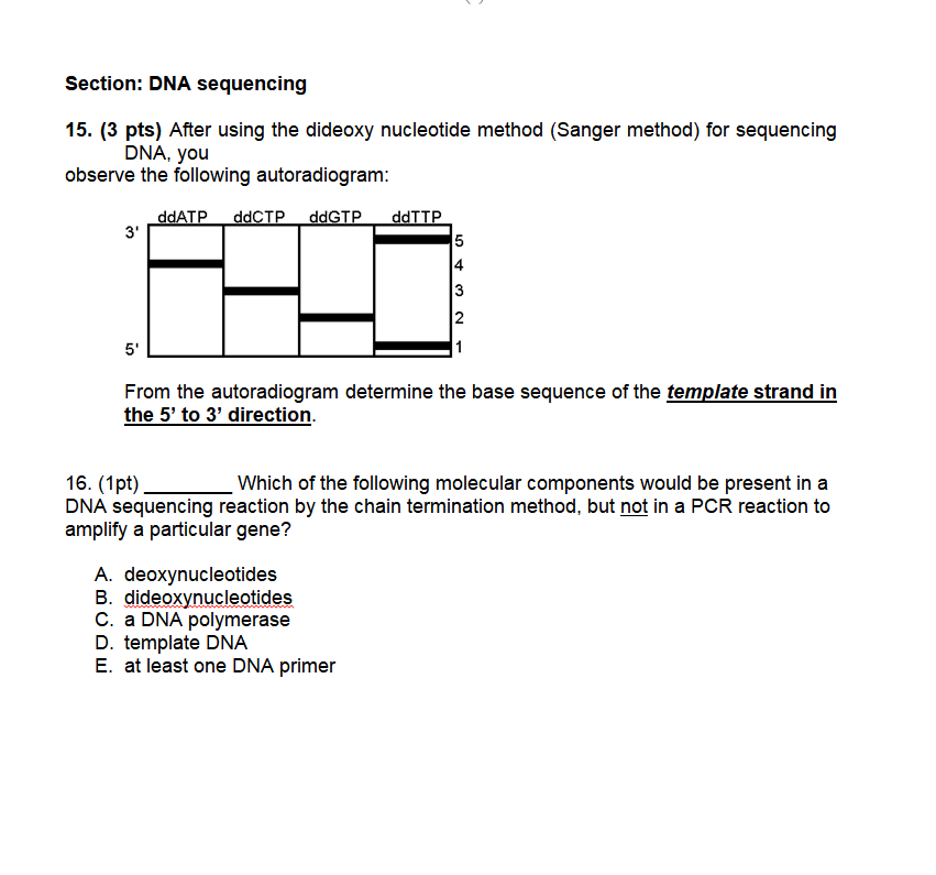 Solved Section: DNA sequencing 15. (3 pts) After using the | Chegg.com