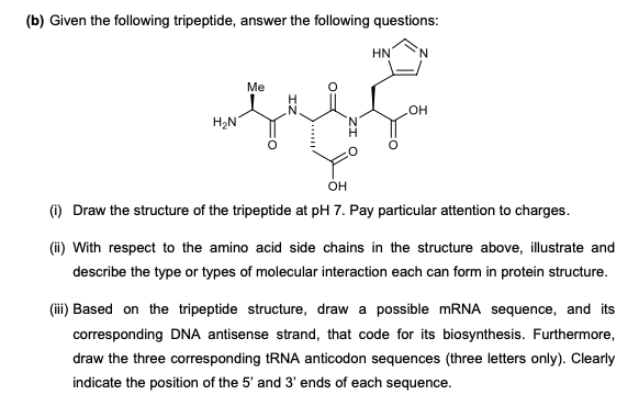 Solved (b) Given the following tripeptide, answer the | Chegg.com