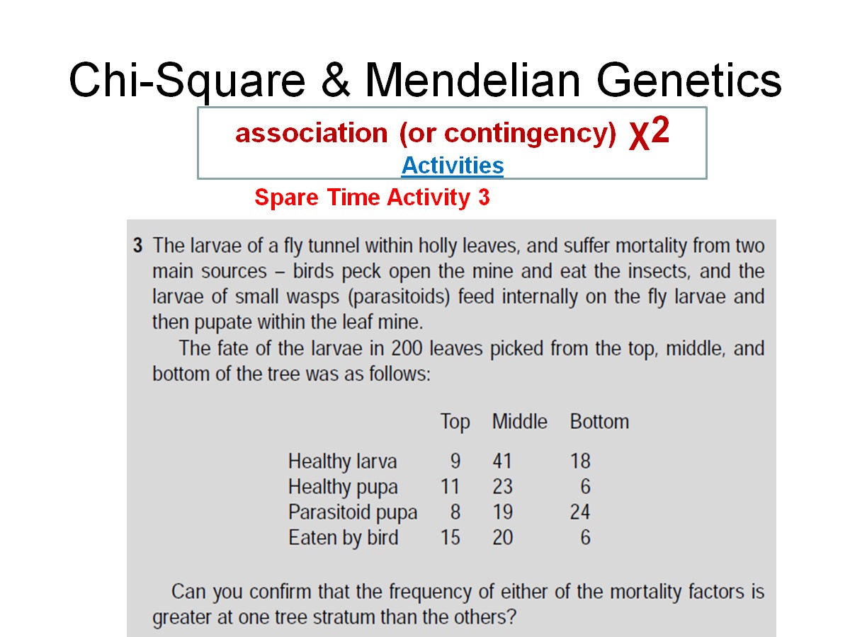 Chi-Square \& Mendelian Genetics Spare Time Activity | Chegg.com