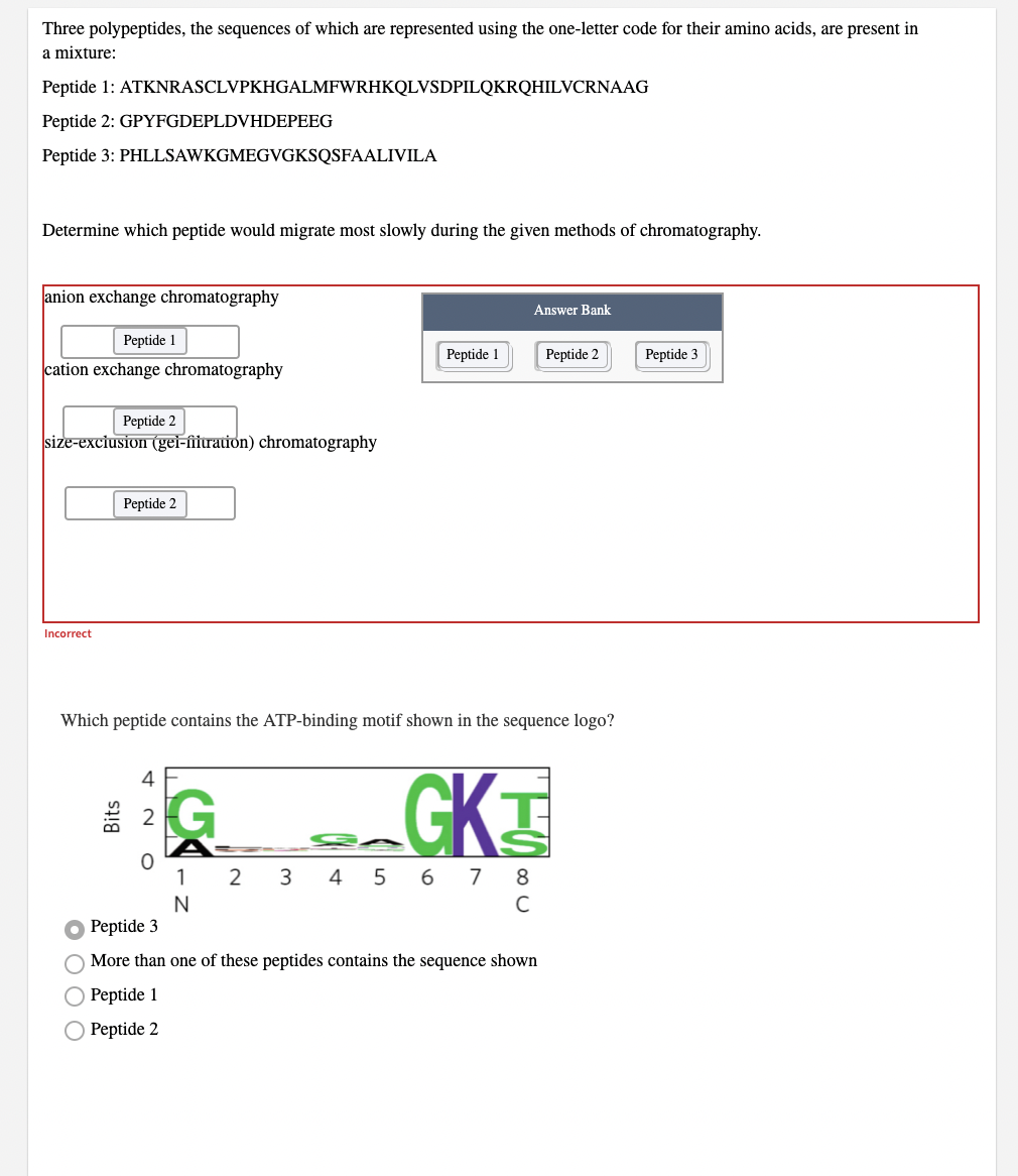 Solved A biochemist discovers and purifies a new enzyme, | Chegg.com