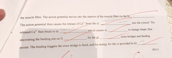Solved 2. Fill in the missing words in the paragraph below: | Chegg.com