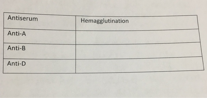 Solved Antiserum Anti-A Anti-B Anti-D Hemagglutination | Chegg.com