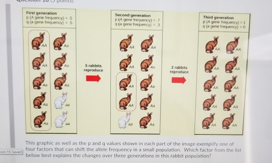 Solved First generation p (A gene trequency) S a la gene | Chegg.com
