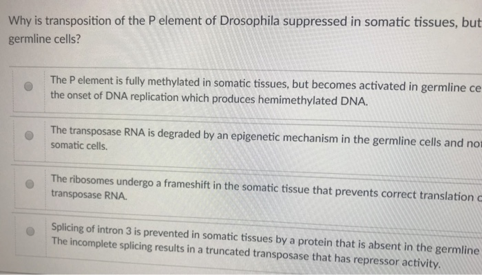 Solved Why is transposition of the P element of Drosophila | Chegg.com