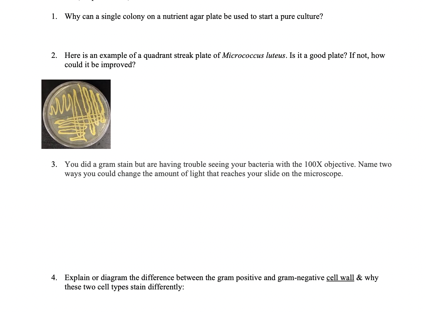 Solved 1. Why can a single colony on a nutrient agar plate | Chegg.com