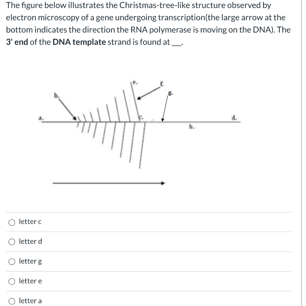 Solved The figure below illustrates the Christmas-tree-like | Chegg.com