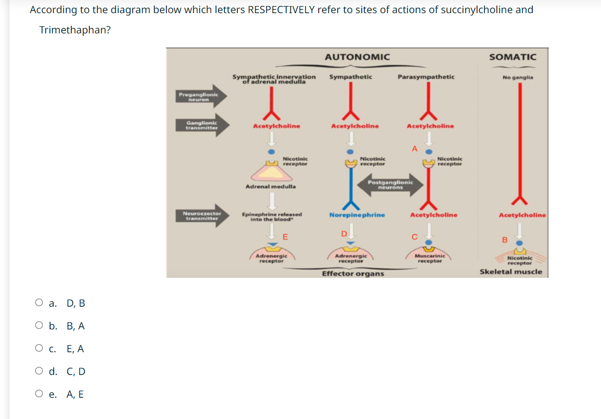 Solved According to the diagram below which letters | Chegg.com