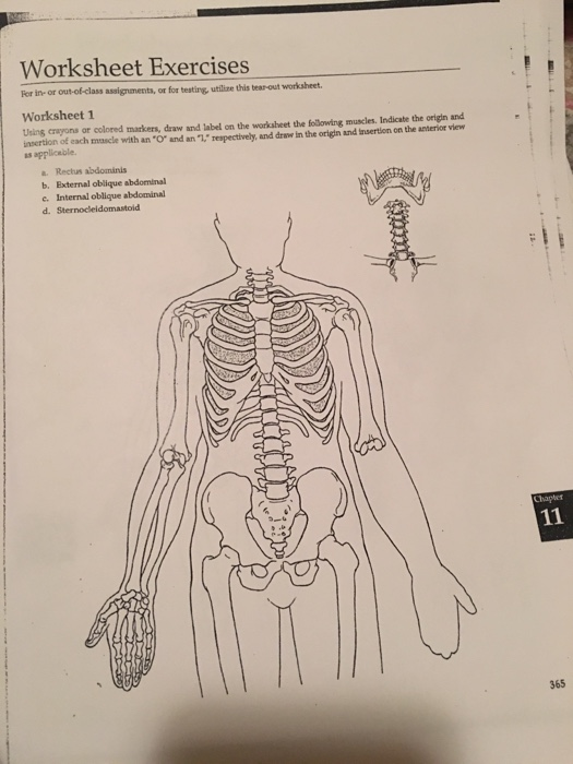 Solved Worksheet Exercises ее Rer in-or out-of-class | Chegg.com