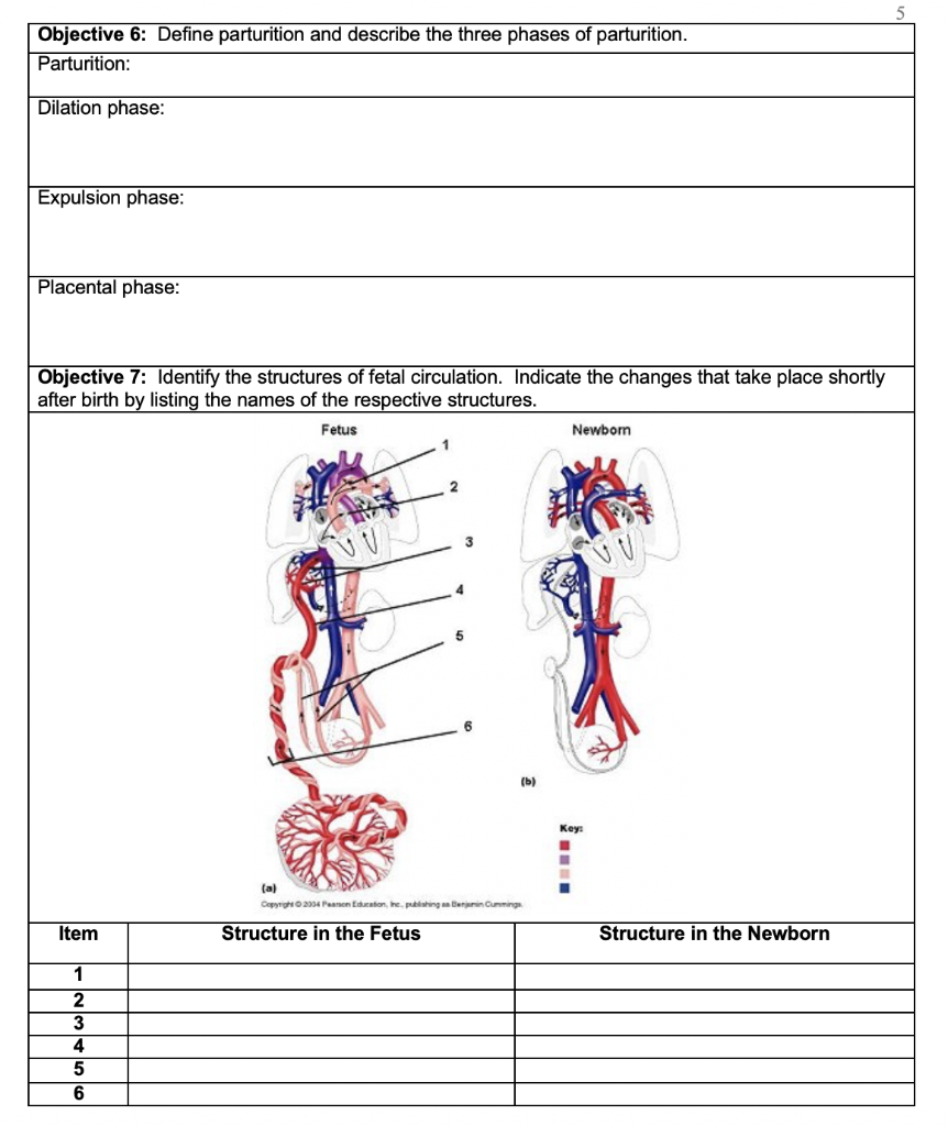 Solved Objective 6: Define parturition and describe the | Chegg.com