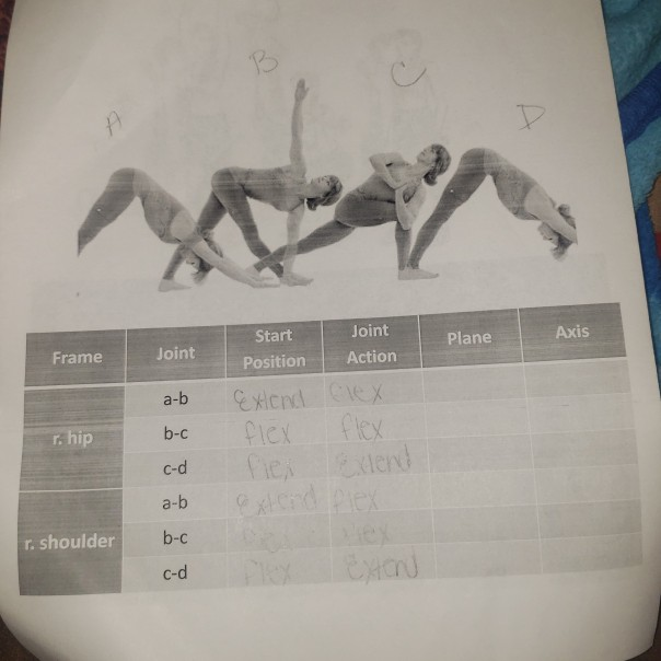 Solved Joint Start Joint Plane Axis Frame Action Position | Chegg.com