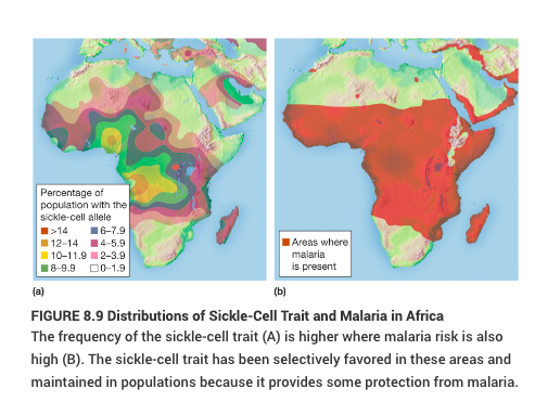 Solved What differences between these distributions do you | Chegg.com