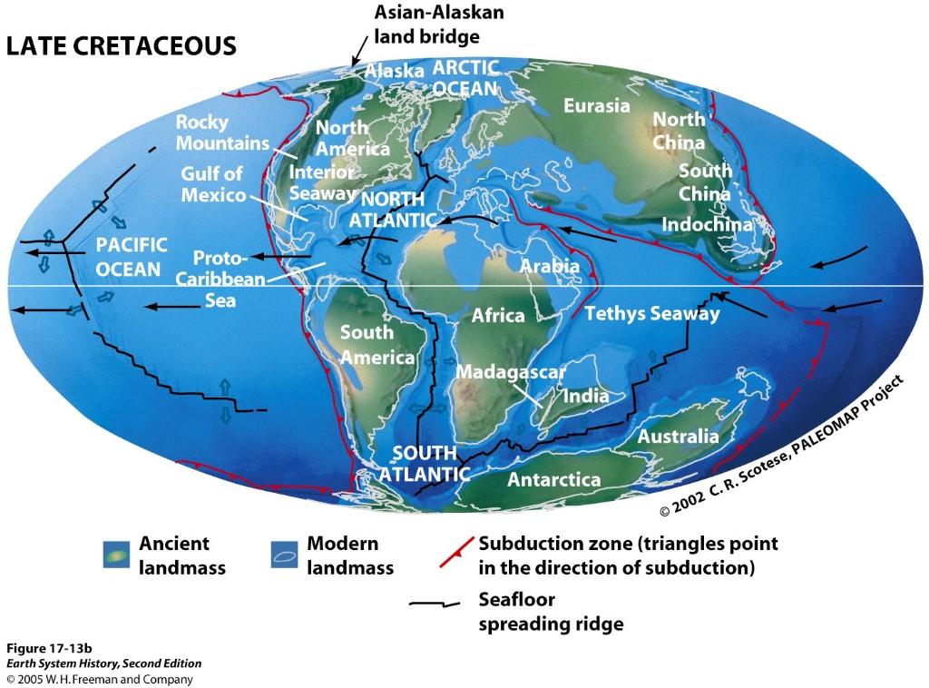 Solved LATE CRETACEOUS Asian-Alaskan land bridge Alaska | Chegg.com