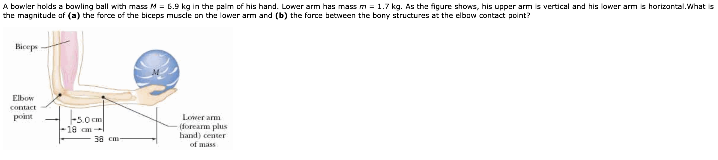 Solved A bowler holds a bowling ball with mass M = 6.9 kg in | Chegg.com