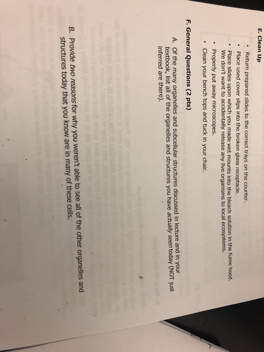 Solved E. Clean Up Return prepared slides to the correct | Chegg.com