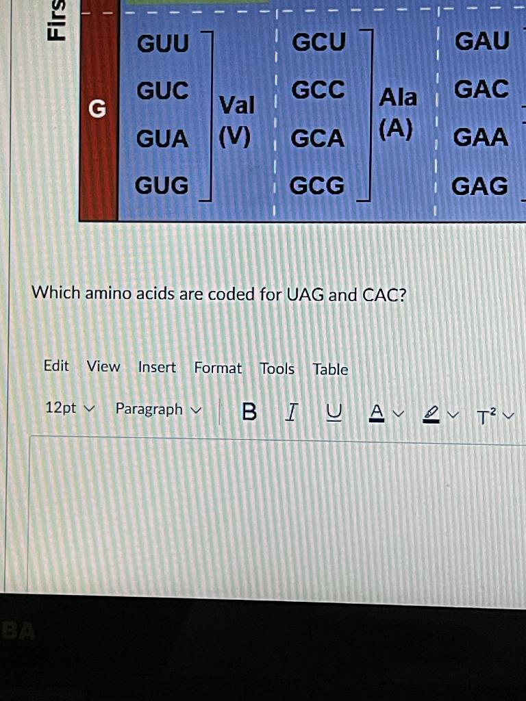Solved Firs GUU GCU GAU GUC GAC G GCC Val (V) GCA Ala (A) | Chegg.com
