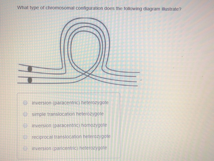 Solved What type of chromosomal configuration does the | Chegg.com