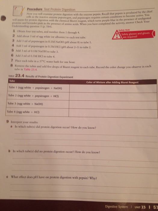 Solved Pre-Lab Exercise 233 Digestive Enzymes Brush border | Chegg.com