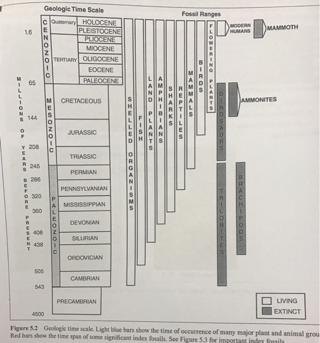 Solved e Geologic Time Scale (Figure 5.2),fill in the table | Chegg.com