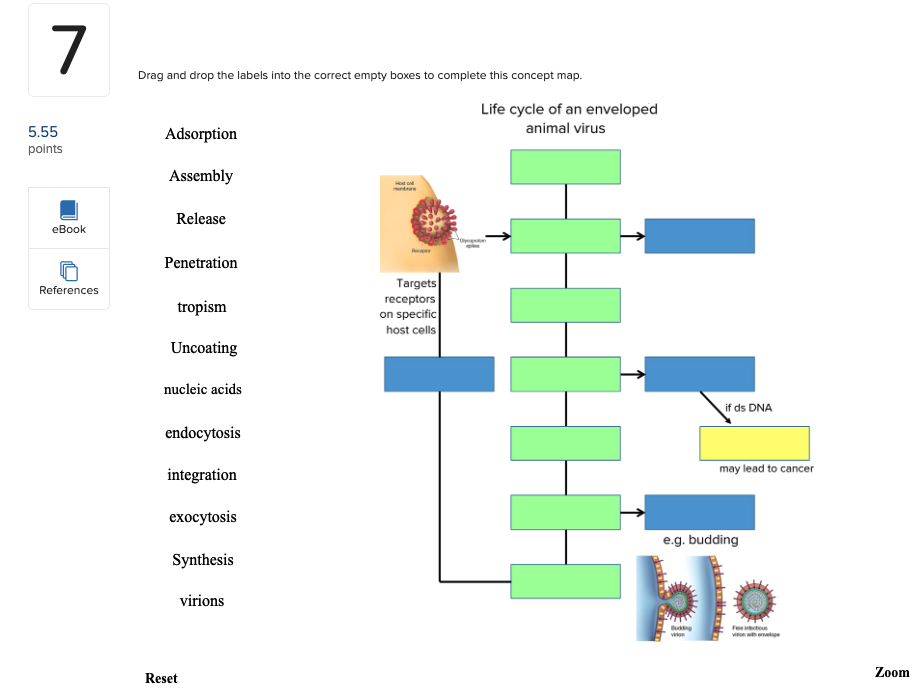 Solved Drag and drop the labels into the correct empty boxes | Chegg.com