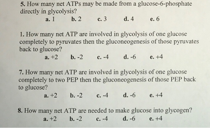 Solved 5. How many net ATPS may be made from a | Chegg.com