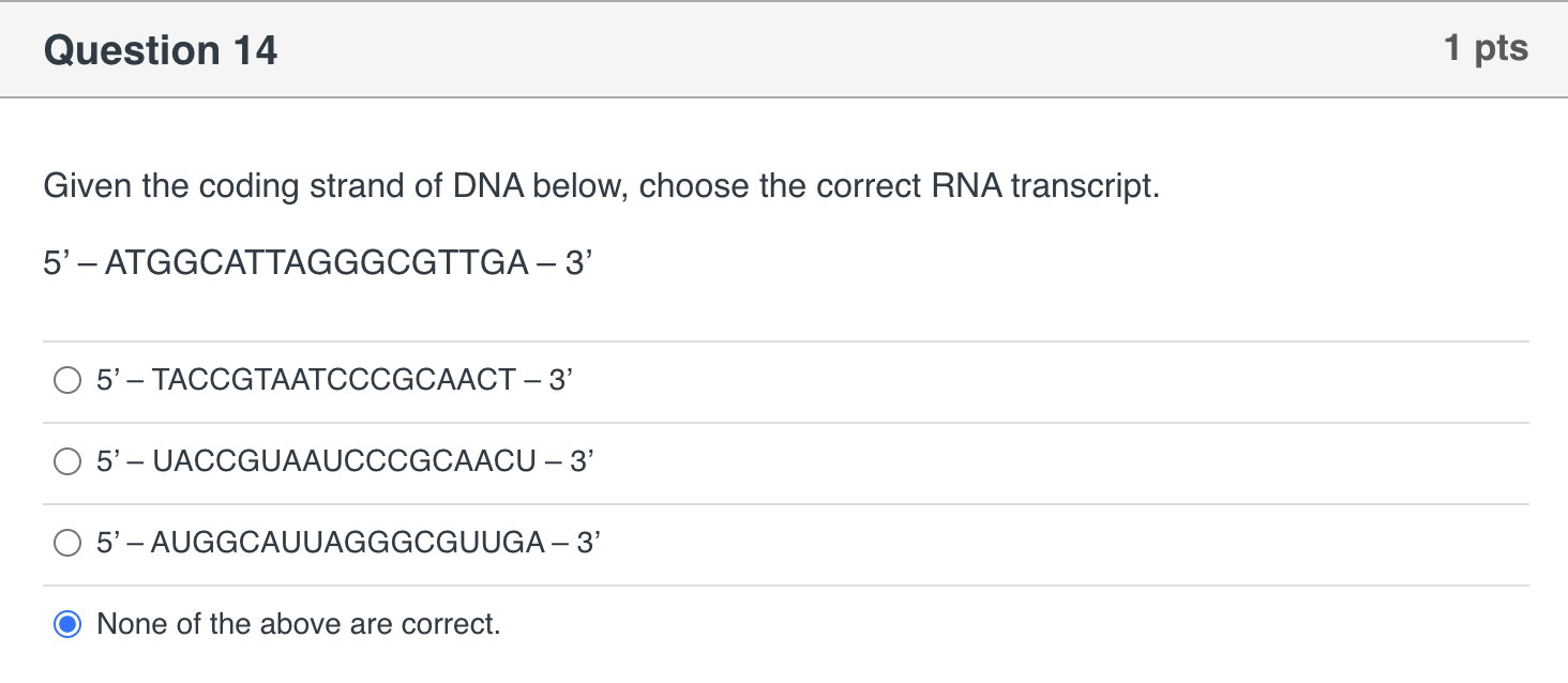 Solved Question 13 1 pts Below is the double-stranded DNA | Chegg.com