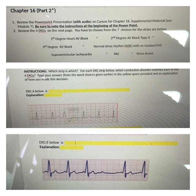 Chapter 16 (Part 2) 1. Review the Powerpoint | Chegg.com