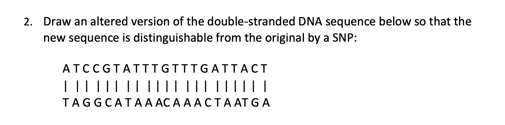 Solved 2. Draw an altered version of the double-stranded DNA | Chegg.com