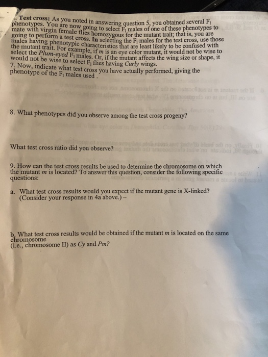 Test cross: As you noted in answering guestion 5, you | Chegg.com