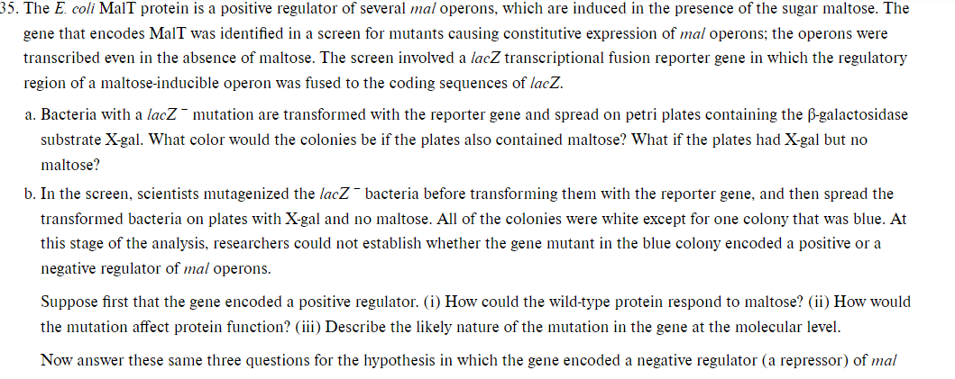 Solved The E. coli MalT protein is a positive regulator of | Chegg.com