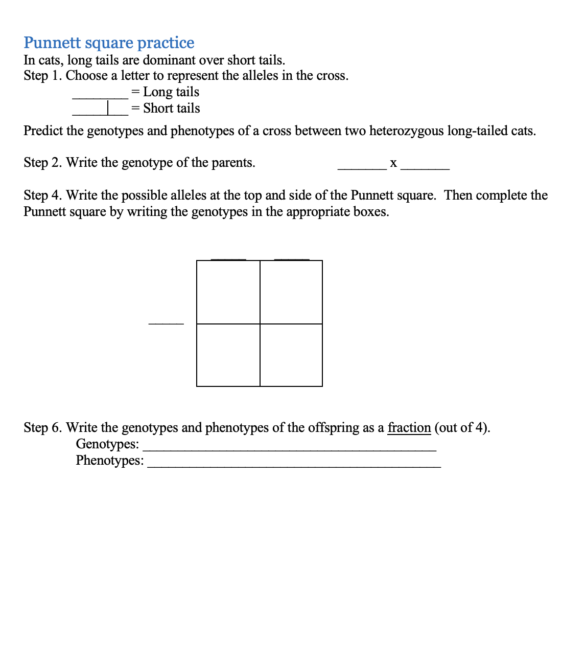 Solved Punnet square practiceIn cats, long tails are | Chegg.com