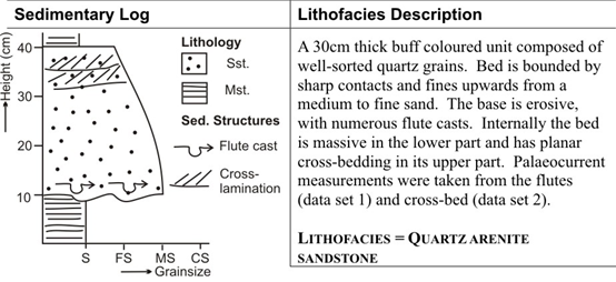 Solved Using the lithological (called lithofacies) | Chegg.com