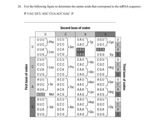 Solved 23. Streptomycin is an antibiotic that is effective | Chegg.com