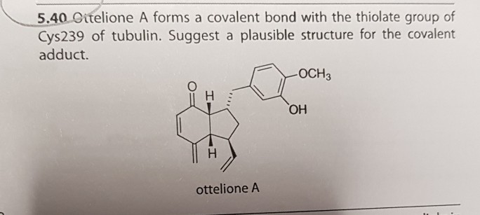 Solved 5.40 Ottelione A forms a covalent bond with the | Chegg.com